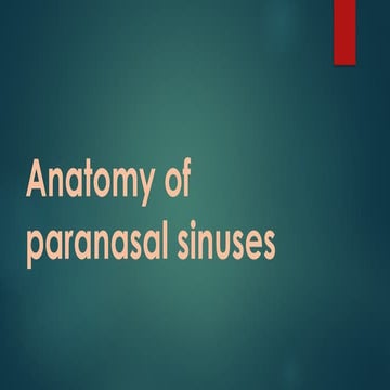 Anatomy of sinuses. Shalakya tantra 4th yr bams. | PPTX