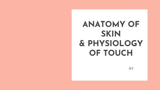 176-Anatomy-Integumentary-System.ppt