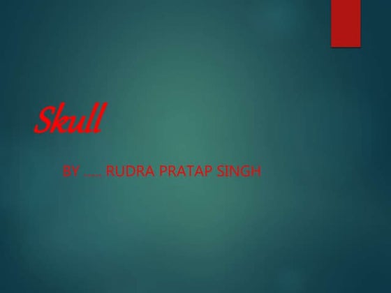 anatomy of human skull | PPT