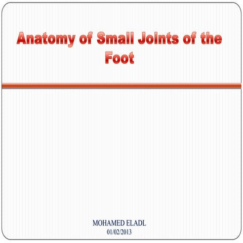Evertor and invertor of foot | PPTX