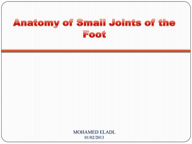biomechanics of tarsometatarsal joint, metatarsophalangeal joint ...