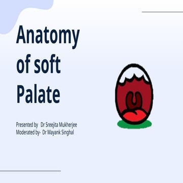 Oral cavity, palate & tongue Anatomy.pdf