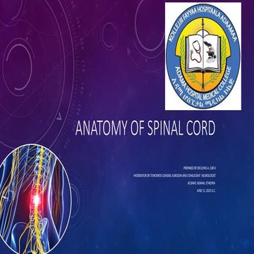 anatomy of spinal cord anatomy and functional str.pptx