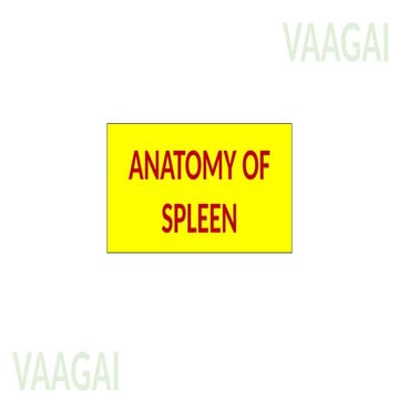Anatomy of spleen.pptx spleen is a reddish | PPTX