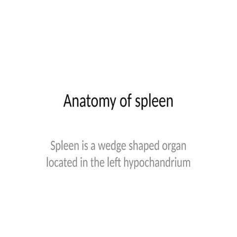 anatomy of spleen. Surgical anatomy. Blood supply | PPTX