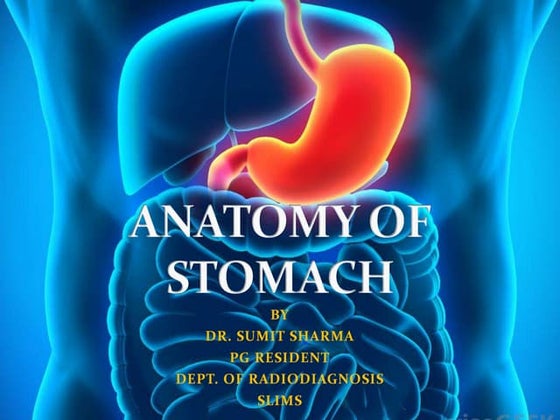 Blood supply and lymphatic drainage of stomach | PPTX