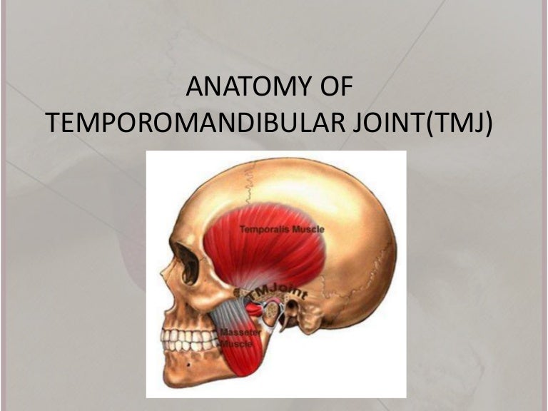 Anatomy Of Temporomandibular Joint Tmj Animation Gros - vrogue.co