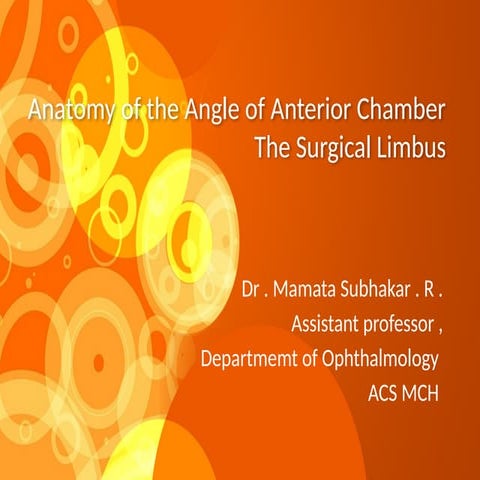 Limbus of the Eye: Anatomy, Functions, and Clinical Significance | PPTX