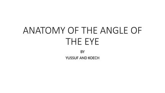 ANGLE ANATOMY | PPTX | Eye and Vision Conditions | Diseases and Conditions