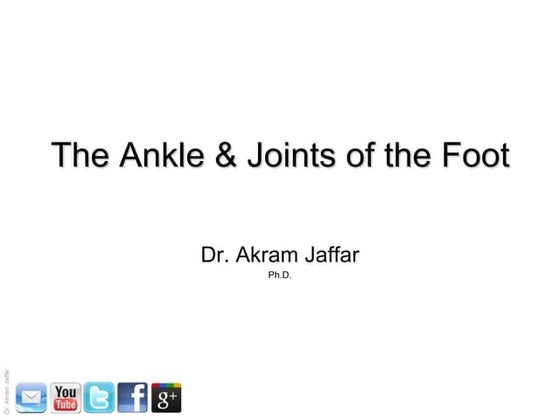 Evertor and invertor of foot | PPT