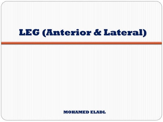 Lumbar triangle(Petit’s triangle) and it’s anatomical characteristics | PPT