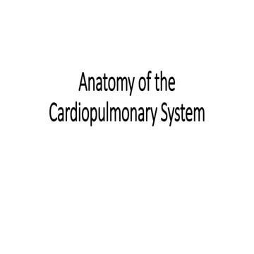 Anatomy of the Cardiopulmonary System.pdf
