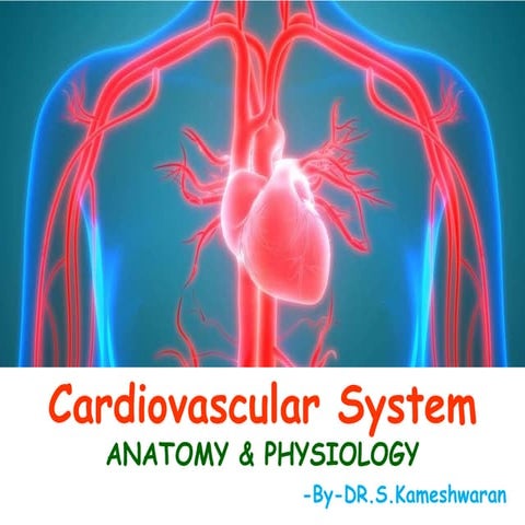Circulatory System Ppt