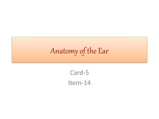 Anatomy of Ear | PPTX