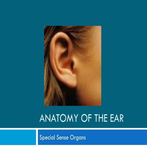 THE ANATOMY OF THE EAR FOR MEDICAL STUDENTS | PDF