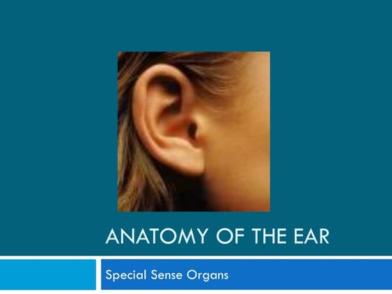 Anatomy and physiology of ENT | PPTX | Ear, Nose and Throat Conditions ...