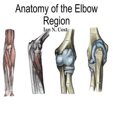 Anatomy of the elbow region | PPTX
