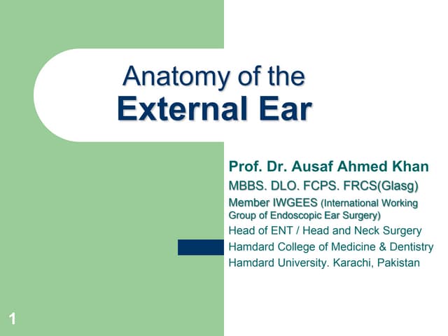 Histology of ear | PDF