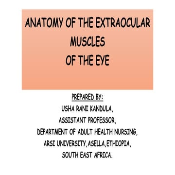 Anatomy of the extraocular muscles of eye | PPTX