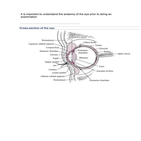 Anatomy of the eye | DOCX
