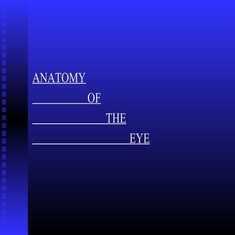 Anatomy of the eye | PPT