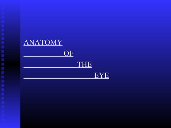 Eye structure and function | PPT