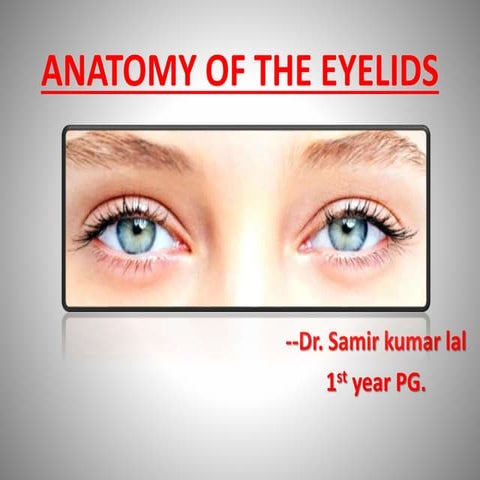 Anatomy of the eyelids. | PPTX