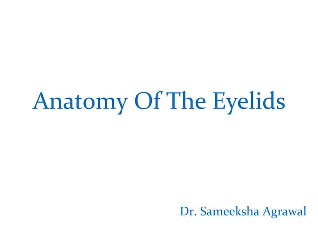 eyelid anatomy slideshare | PPTX