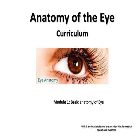 Anatomy of the eye test | PPTX