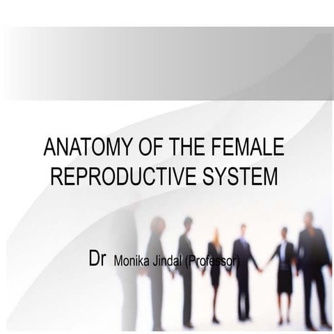 ANATOMY OF THE FEMALE REPRODUCTIVE SYSTEM. final2.pptx