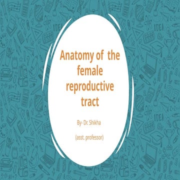 Comprehensive Anatomy of the Female Reproductive Tract: External and ...