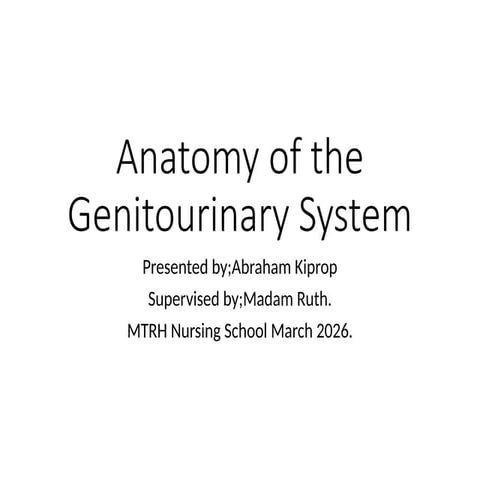 Comprehensive Anatomy of the Genitourinary System: Kidneys, Ureters ...