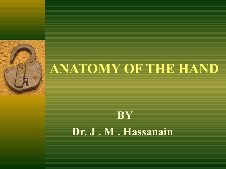 Purpose Of The Hand : Bones of the Hand Quiz – OWAY