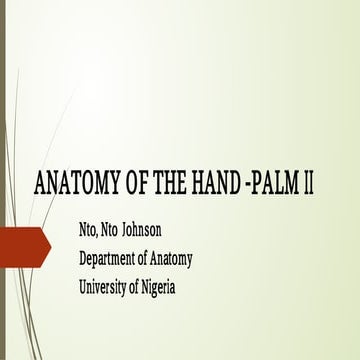 ANATOMY OF THE HAND -PALM II, NTO JOHNSON NTO.pdf