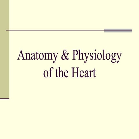 Anatomy Of The Heart | PPT