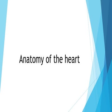 Anatomy of the heart | PPTX