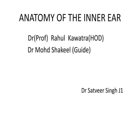 Anatomy of the inner ear | PPT