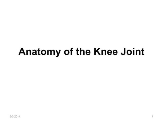 ANATOMY OF KNEE JOINT | PPT