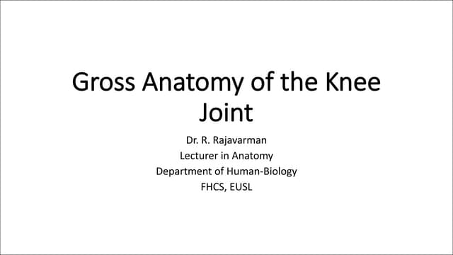 ligaments of the knee joint | PDF