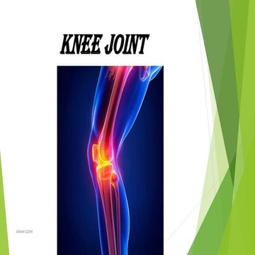 ANATOMY OF THE KNEE JOINT AND POPLITEAL FOSSA | PDF