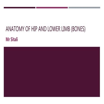 Anatomy of the Lower Limb.pdf