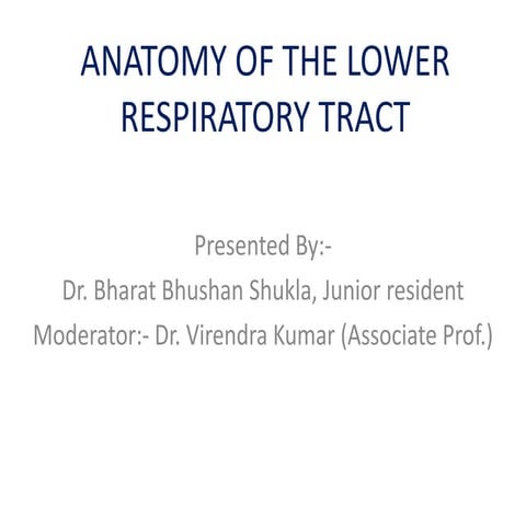 Anatomy of the lower respiratory tract | PPTX