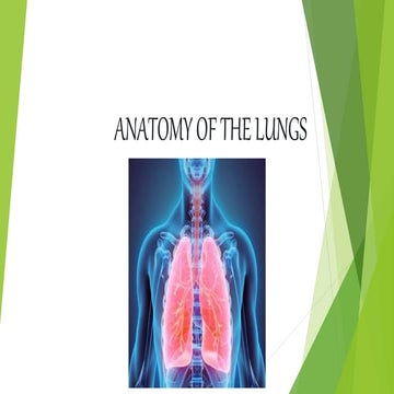 LUNG ANATOMY | PPTX
