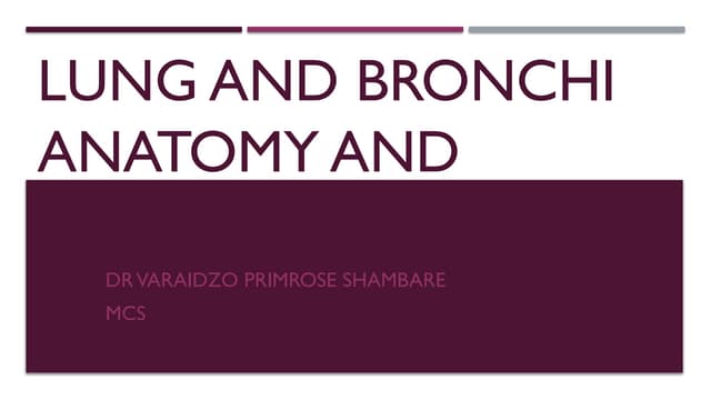 lungs anatomy | PPTX