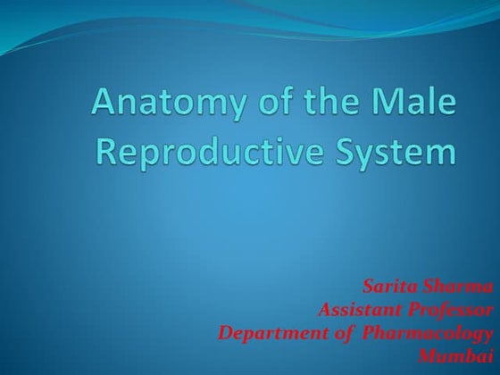 Female reproductive system | PPT