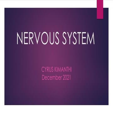 Anatomy of the nervous system | PPT