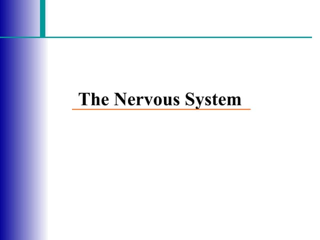 Nervous System | PPT