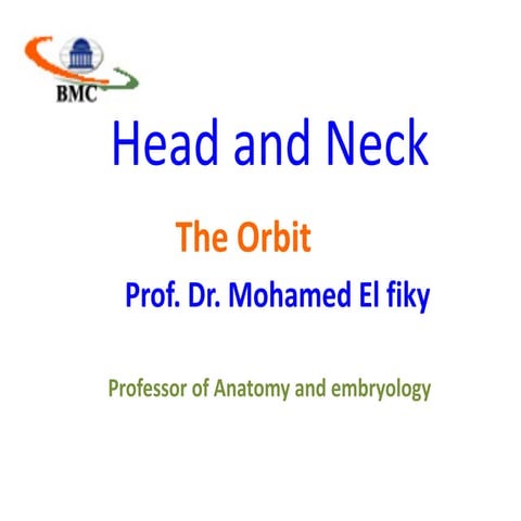 Anatomy of the orbit | PDF