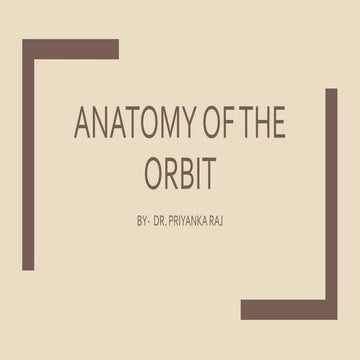 Anatomy of the orbit | PPTX