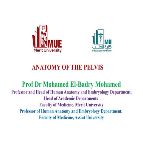 Hip and Knee Joints Prof Dr Mohamed El-Badry Mohamed.pptx